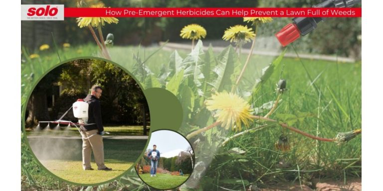 How Pre Emergent Herbicides Can Help Prevent A Lawn Full Of Weeds Solo